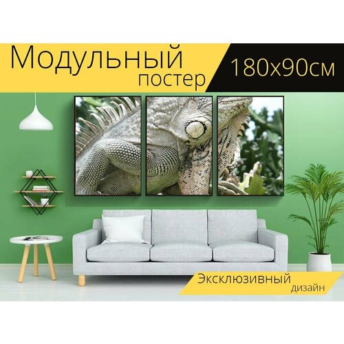 Модульный постер "Игуана, рептилия, бонайр" 180 x 90 см. для интерьера