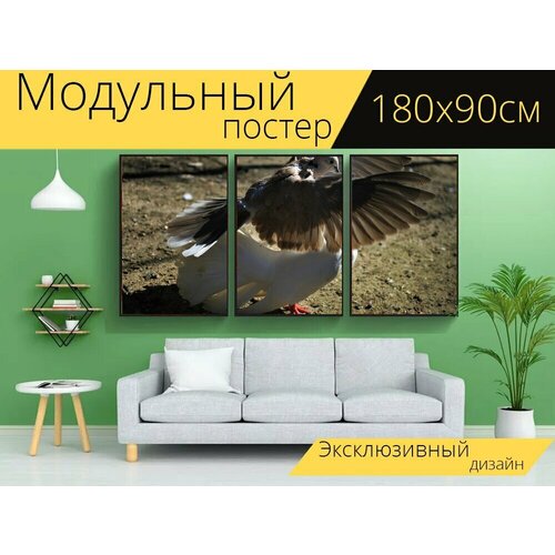 Модульный постер "Голуби, люблю танцы, люблю хороводы" 180 x 90 см. для интерьера