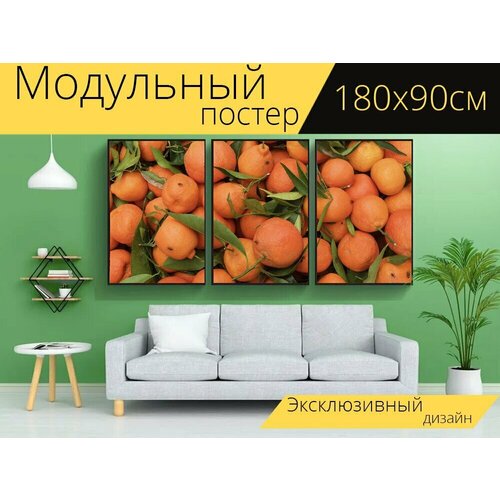 Модульный постер "Оранжевый плод, в хорошем здравии, лист" 180 x 90 см. для интерьера