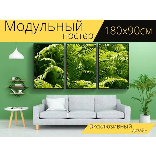 Модульный постер "Папоротники, зелень, солнечные лучи" 180 x 90 см. для интерьера