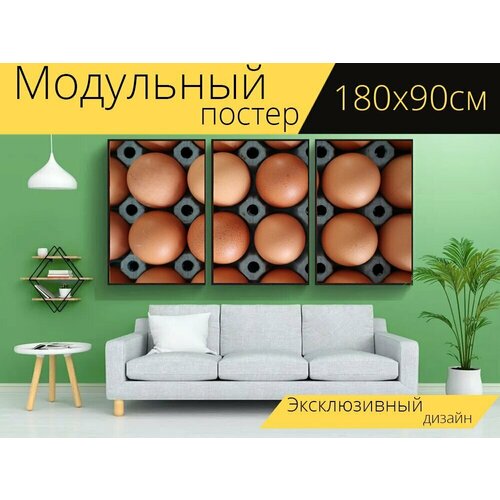 Модульный постер "Яйцо, подставка для яйца, картон" 180 x 90 см. для интерьера