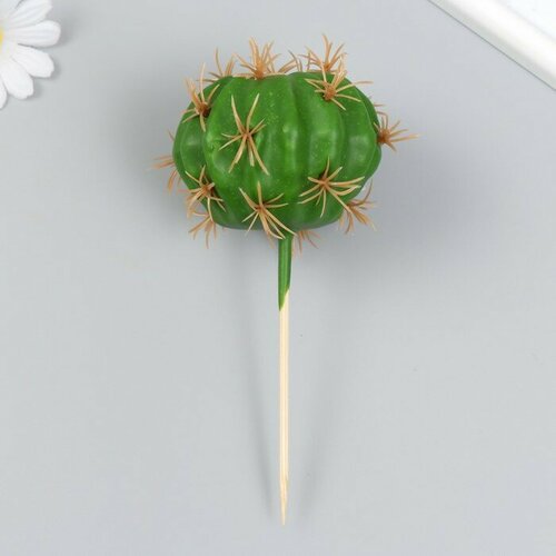Искусственное растение для творчества "Кактус Гимнокалициум" 8х10,5 см длинна 16 см