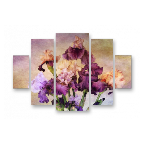 Модульная картина на холсте | Diva Kartina | Цветы. Ирисы | 70X49 см
