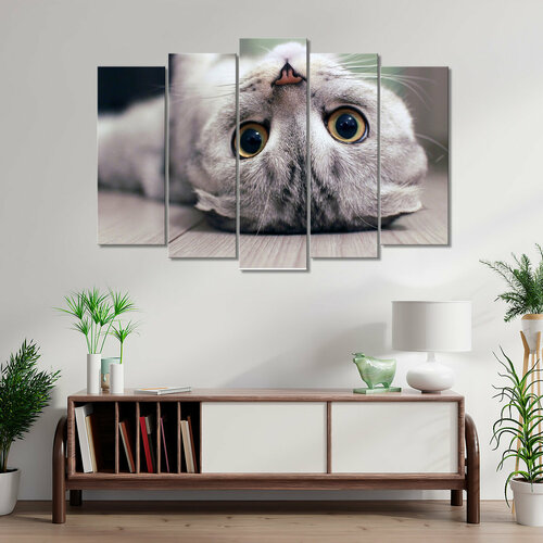 Модульная картина/Модульная картина на холсте/Модульная картина в подарок/ Шотландская вислоухая кошка - Scottish Fold Cat 150х100