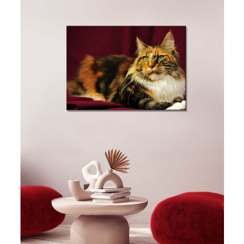 Картина - кошка, мейн-кун, домашняя кошка, ласковая кошка, кот (290) 20х30