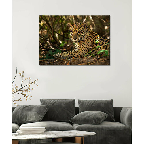 Картина/Ягур/Ягуар в джунглях/Ягуар на дереве/Черный ягуар/ - Ягуар (16) 20х30