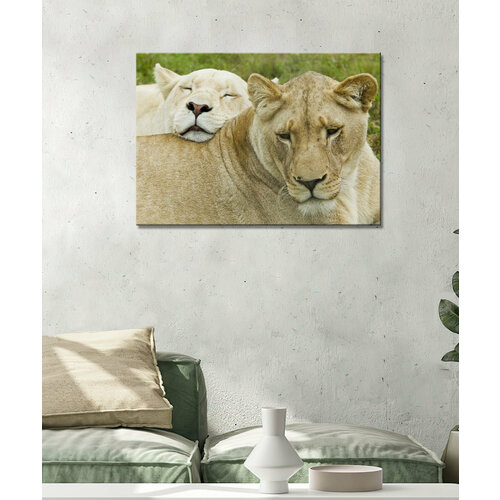 Картина - Лев, лев царь зверей, львицы, красивая львица (18) 40х60