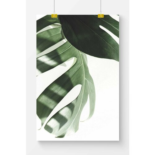 Постер для интерьера Postermarkt, 40х50 см в тубусе, постер Растение #39