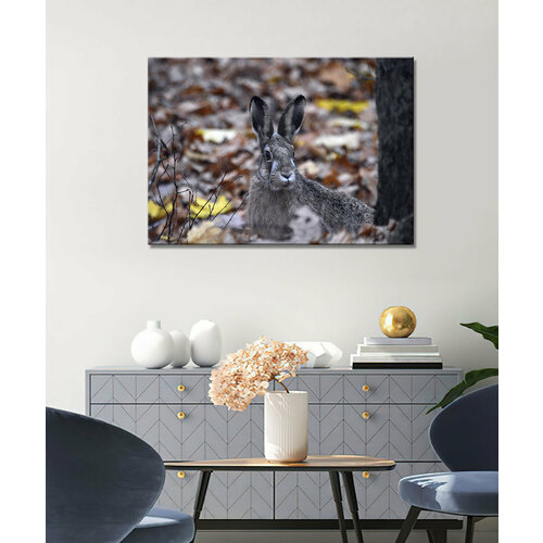 Картина - Заяц, зайцы, зайчонок, зайка, ушастый заяц, пушистый заяц, заяц в лесу, заяц осенью (18) 20х30