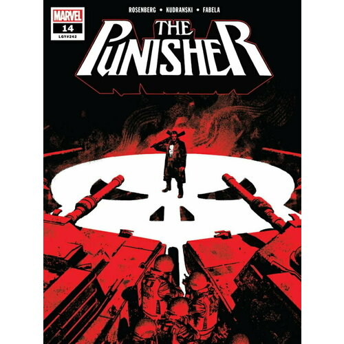 Плакат, постер на холсте Punisher/Каратель/комиксы/мультфильмы. Размер 42 х 60 см