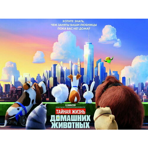 Плакат, постер на бумаге The Secret Life of Pets/Тайная жизнь домашних животных/комиксы/мультфильмы. Размер 21 х 30 см