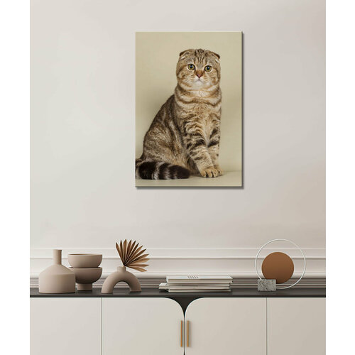 Картина - кошка, шотландская вислоухая кошка, домашняя кошка, ласковая кошка, кот (235) 20х30