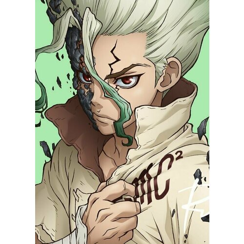 Плакат, постер на холсте Доктор Стоун. Dr. Stone. Размер 21 х 30 см