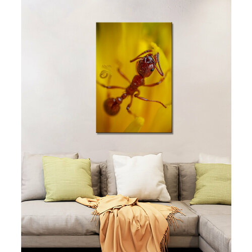 Картина -Муравей, муравей макро, муравей близко (54) 50х70