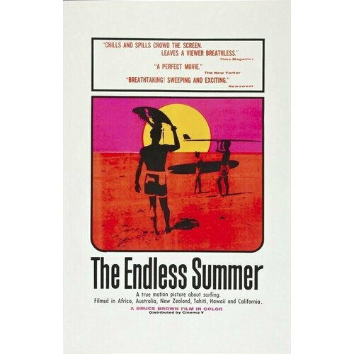 Плакат, постер на бумаге Бесконечное лето (The Endless Summer), Брюс Браун. Размер 21 х 30 см