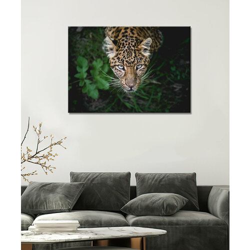 Картина/Ягур/Ягуар в джунглях/Ягуар на дереве/Черный ягуар/ - Ягуар (46) 40х60