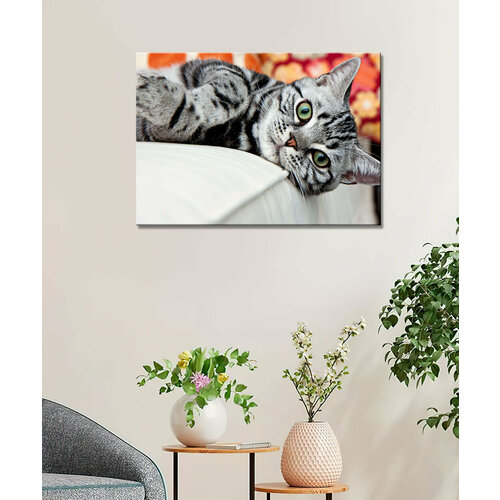 Картина - кошка, американская короткошёрстная кошка, домашняя кошка, ласковая кошка, кот (207) 40х60