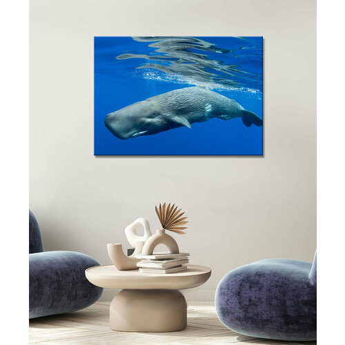 Картина - кит, синий кит, кашалот, огромный кит, кит в воде (15) 40х60