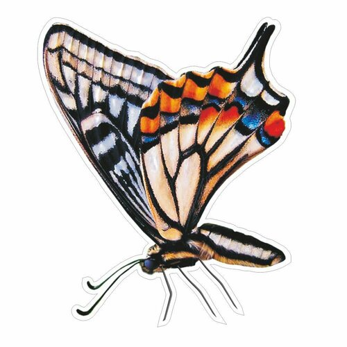 Наклейка "Бабочка-крылья сложены", малая, вид 4, 120х100мм, Арт рэйсинг