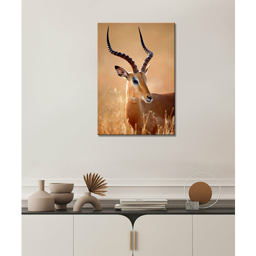 Картина - коричневая антилопа, антилопа смотрит в сторону 50х70