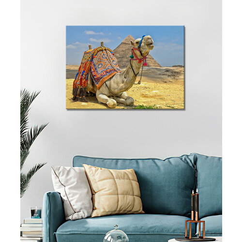 Картина - верблюд на фоне пирамиды 30х40