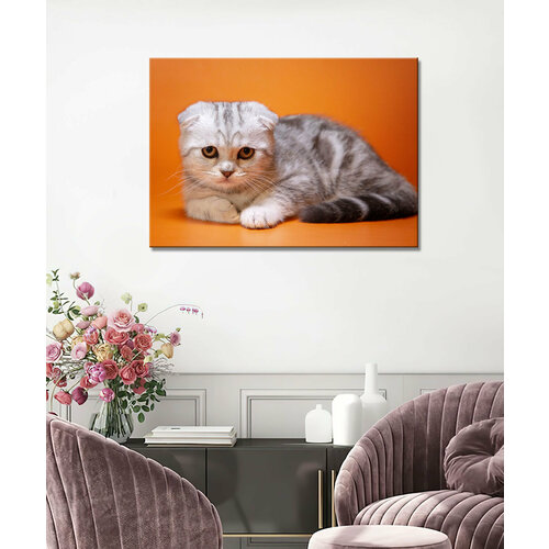 Картина - кошка, шотландская вислоухая кошка, домашняя кошка, ласковая кошка, кот (250) 60х80