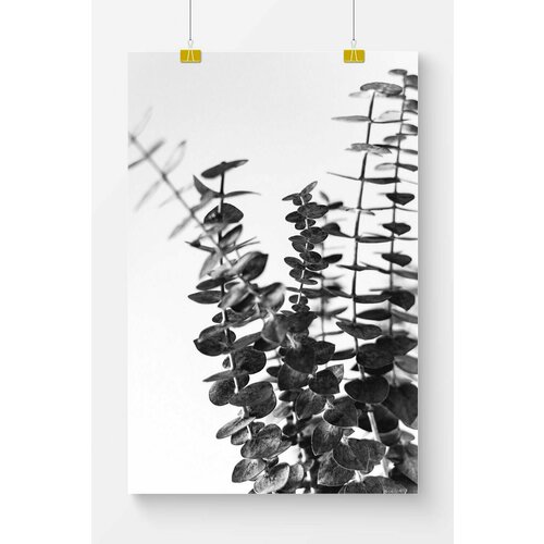 Постер для интерьера Postermarkt, 40х50 см в тубусе, постер Черно-белый #38