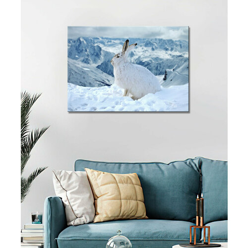 Картина - Заяц, зайцы, зайчонок, зайка, ушастый заяц, пушистый заяц, белый заяц, заяц зимой (7) 30х40