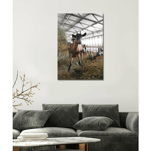 Картина -Коза, козел, коричневый козел, коричневая коза (4) 30х40