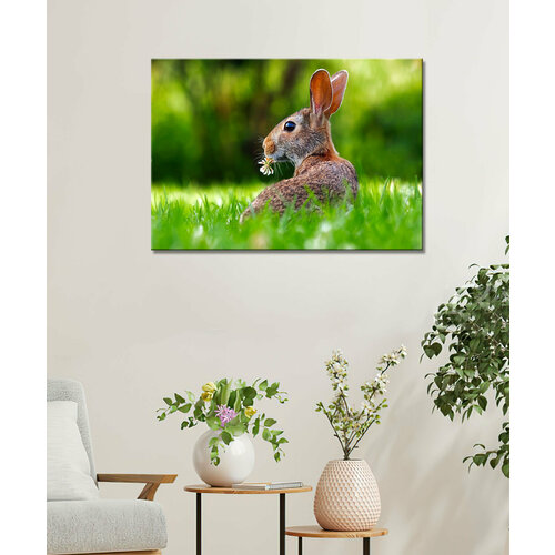 Картина - Заяц, зайцы, зайчонок, зайка, ушастый заяц, пушистый заяц, заяц с цветами, заяц в поле, заяц с одуванчиком (17) 40х60