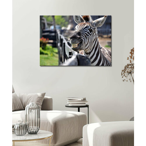 Картина - Зебра, полосатая зебра, забавная зебра, смешная зебра, улыбка зебры (7) 40х60