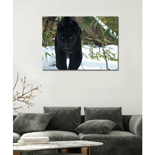Картина/Ягур/Ягуар в джунглях/Ягуар на дереве/Черный ягуар/ - Черный ягуар (15) 60х80