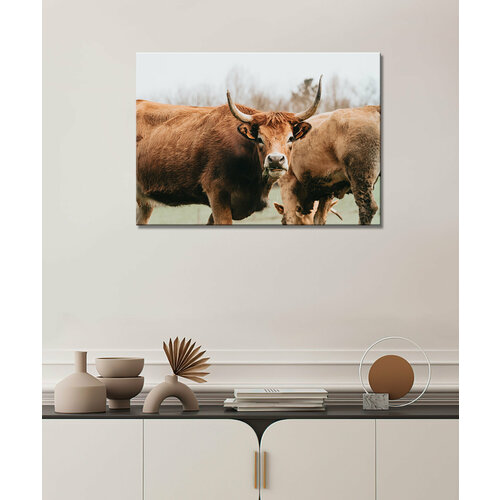 Картина - Корова, коричневая корова, корова на пастбище, бык (1) 60х80