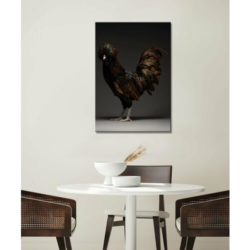 Картина - Курица, курицы, курочка, петух, петухи, красивые породы куриц (19) 20х30