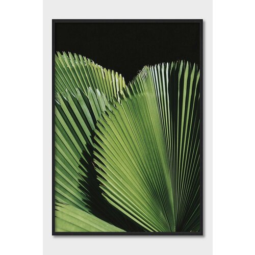 Постер для интерьера Postermarkt, 30х40 см в черной рамке, декор на стену Растение #33