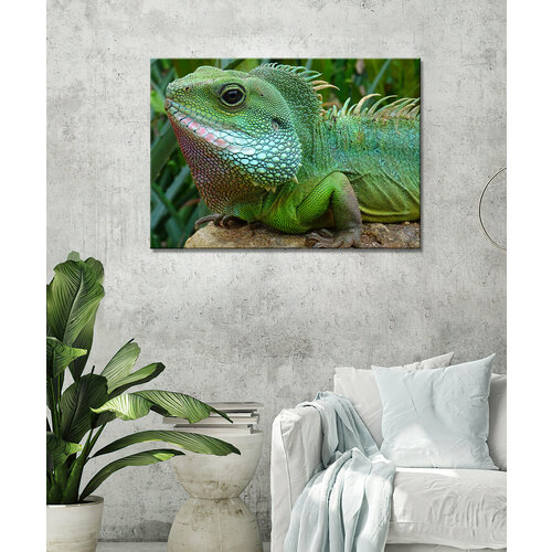Картина - Игуана, зеленая игуана, ящерица (13) 50х70