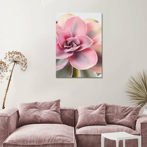 Интерьерная картина на холсте - розовый суккулент 40х60