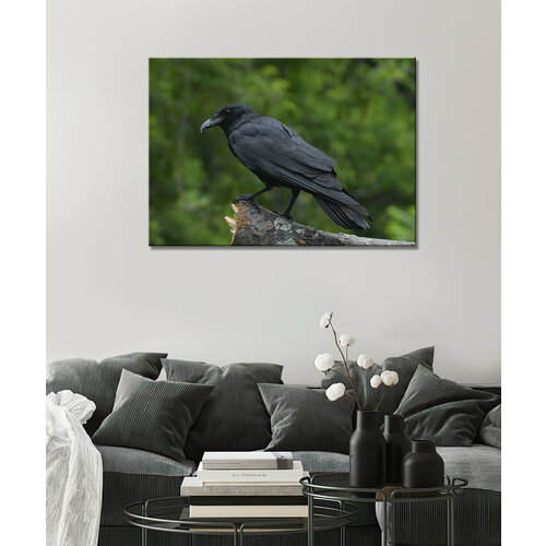 Картина -Ворон, черный ворон, ворон на дереве (13) 30х40
