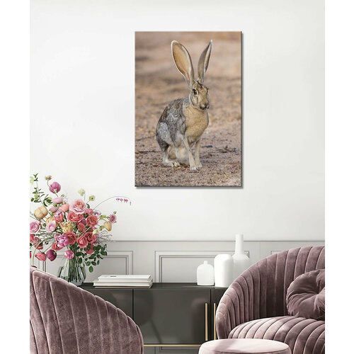 Картина - Заяц, зайцы, зайчонок, зайка, ушастый заяц, пушистый заяц, антилоповый заяц (3) 60х80
