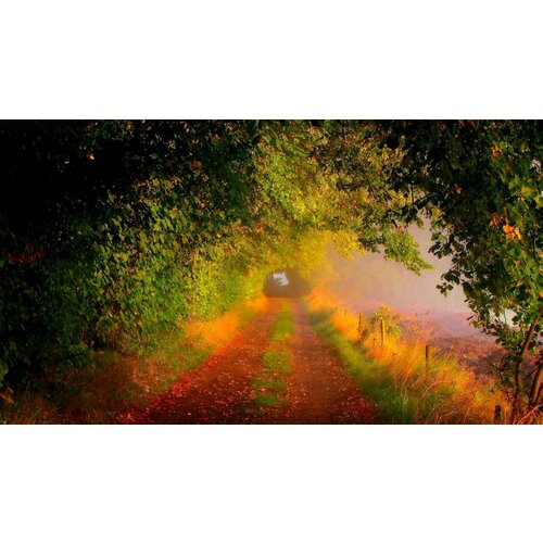 Картина на холсте 60x110 LinxOne "Forest trees autumn leaves" интерьерная для дома / на стену / на кухню / с подрамником