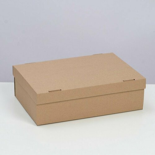 Коробка складная, крышка-дно, бурая, 30 х 20 х 9 см (комплект из 20 шт)
