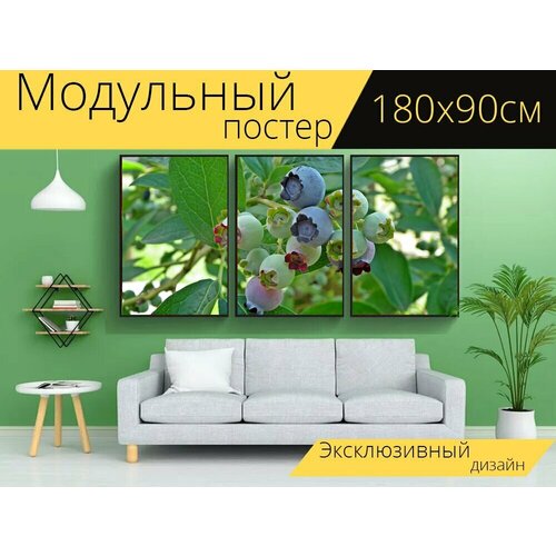 Модульный постер "Черника, фрукты, природа" 180 x 90 см. для интерьера