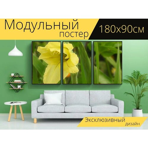 Модульный постер "Гладиолусы, цвести, цветок" 180 x 90 см. для интерьера