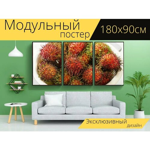 Модульный постер "Рамбутан фрукты, волосатые фрукты, юговосточной азии" 180 x 90 см. для интерьера