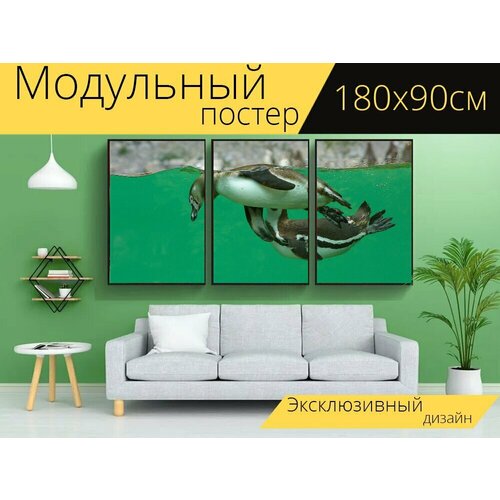 Модульный постер "Животное, пингвин, птица" 180 x 90 см. для интерьера