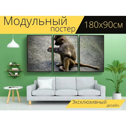 Модульный постер "Обезьяна, бабуин, дикое животное" 180 x 90 см. для интерьера