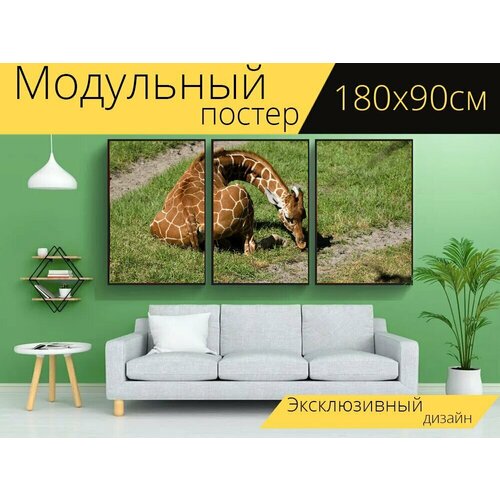 Модульный постер "Детская жираф, животное, милый" 180 x 90 см. для интерьера