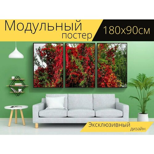 Модульный постер "Вьюнок, куст, красочный" 180 x 90 см. для интерьера