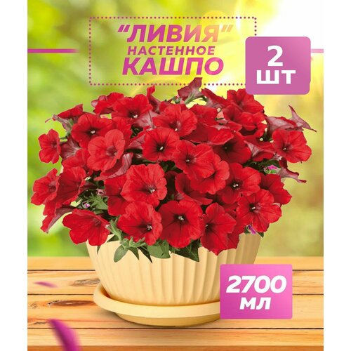 Кашпо настенное Ливия для цветов пластиковое уличное 18 см 2 штуки