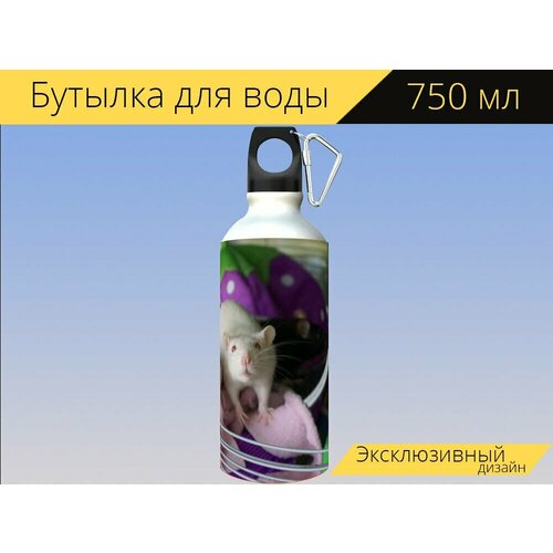 Бутылка фляга для воды "Крыса, белый, грызун" 750 мл. с карабином и принтом